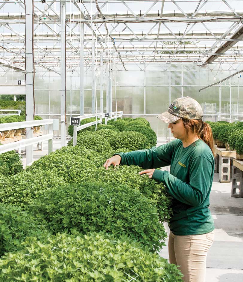 Mulhall's | Omaha Garden Center & Landscaping Services