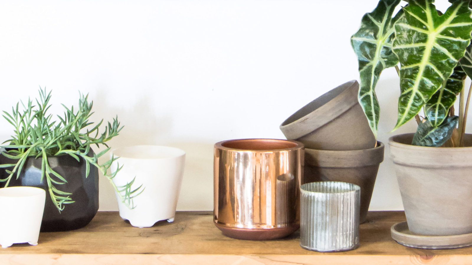 Fresh Pottery – an Easy Way to Update Your Space | Mulhalls