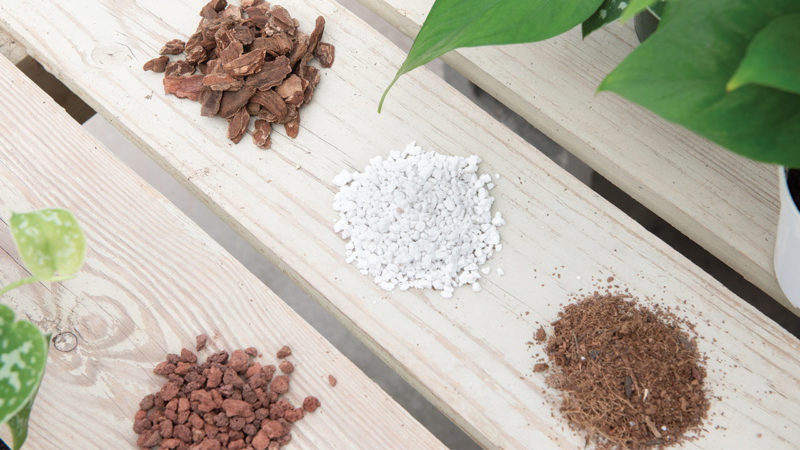The Ins and Outs of Potting Mix | Mulhall's
