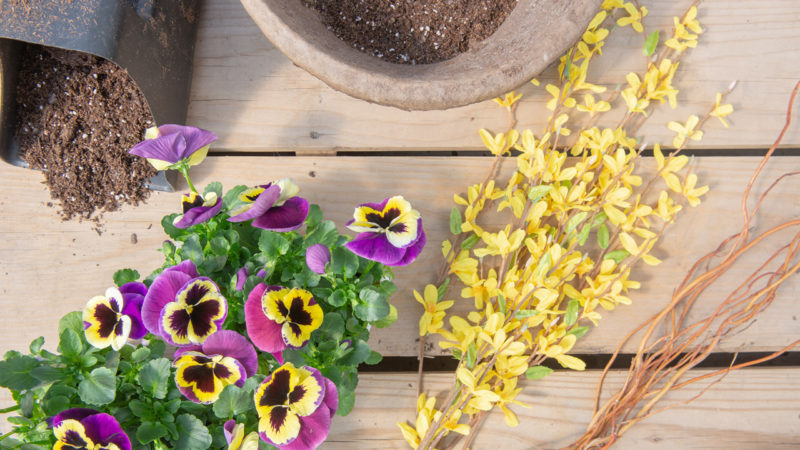 How to Design a Spring Container | Mulhall's