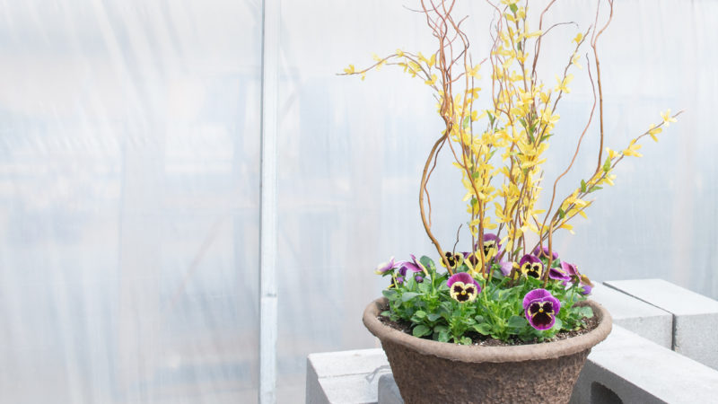How to Design a Spring Container | Mulhall's