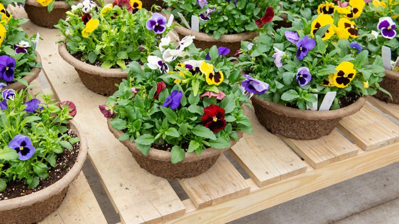 Invite Spring to Your Door in 4 Steps | Spring Decorating | Mulhall's