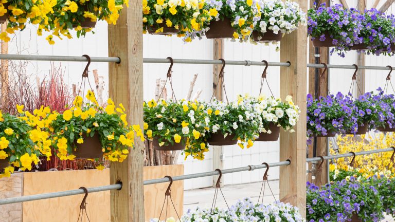 Invite Spring to Your Door in 4 Steps | Spring Decorating | Mulhall ...