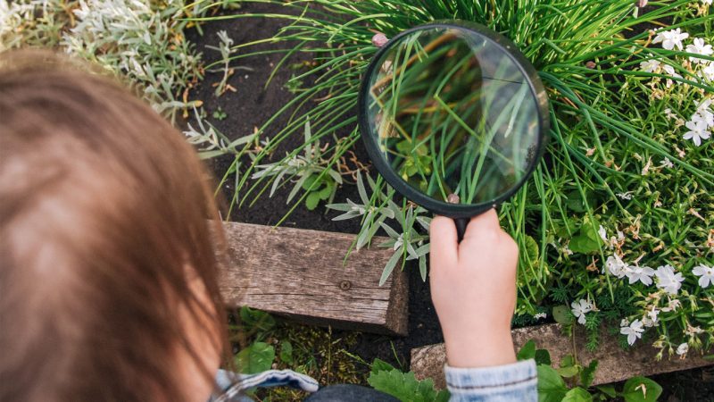 15 Ways to Engage Kids in Nature | Outdoor Activities | Mulhall's