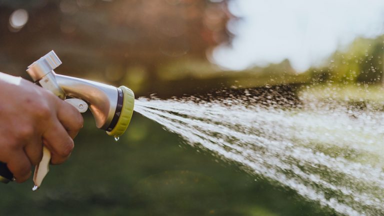 Tips for Watering Your Landscape in the Fall + Winter | Mulhall's