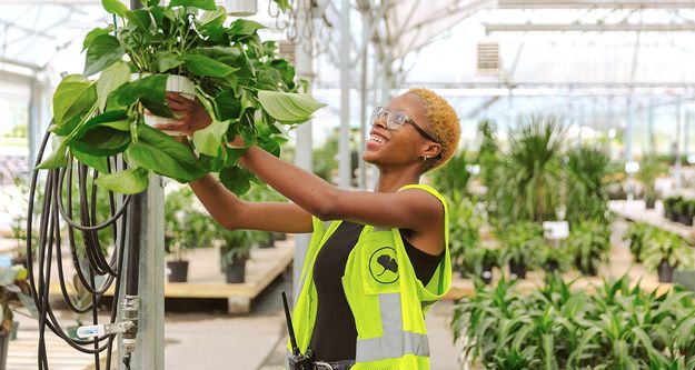 Mulhall's Nursery | Garden Center & Landscaping Services