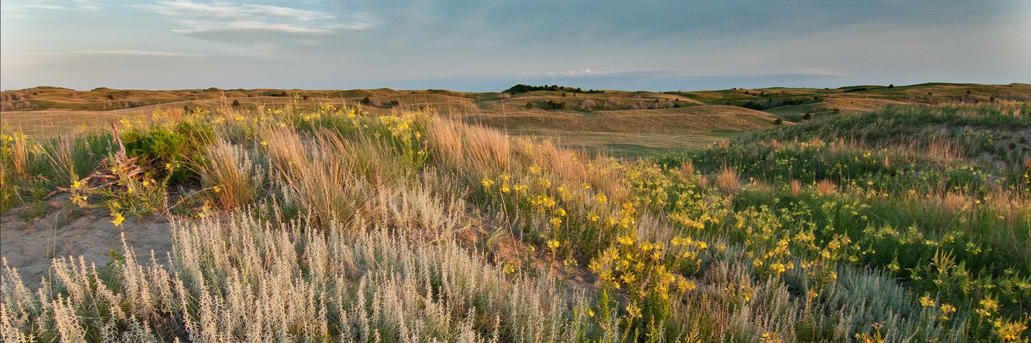 Gardening & Native Plant Blogs | Mulhall's in Omaha, NE