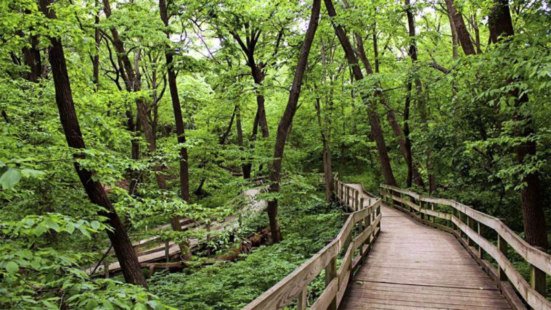 Our Partnership With Fontenelle Forest | Mulhall's