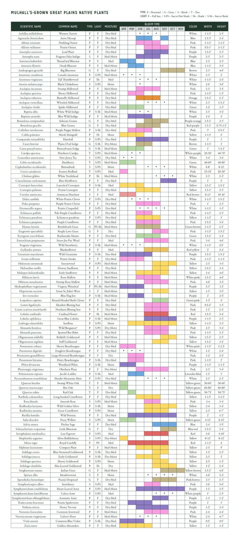 Our Native Plant Program | Mulhall's