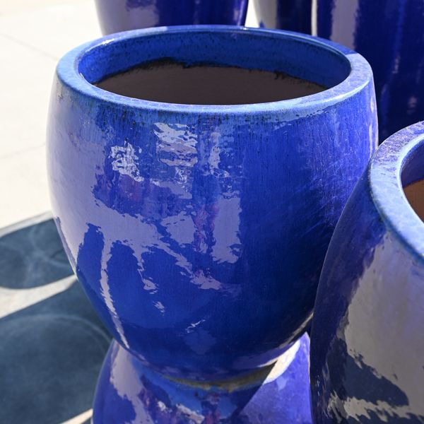 Current Promotions | Garden And Plant Sales | Mulhall's